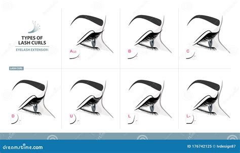 Eyelash Extension Infographics Step By Step Guide Types Of Lash Curls