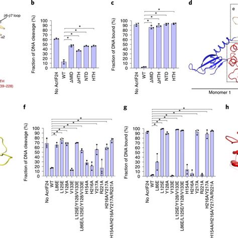 Phage With Pre Existing Deletions In Non Essential Genomic Regions Are