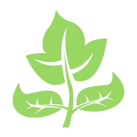 Generic Leaf Concepts 4673256 Vector Art At Vecteezy