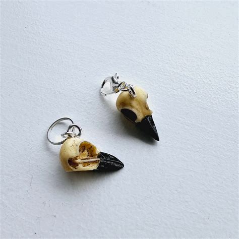 Corvid Skull Marker