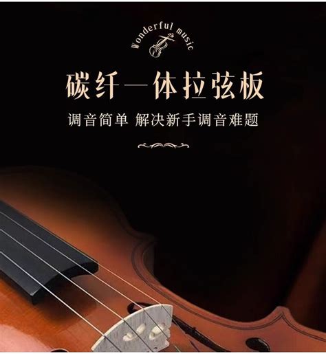 【小提琴】希岸小提琴實木小提琴初學者手工專業級兒童成人樂團考級獨演奏樂 蝦皮購物