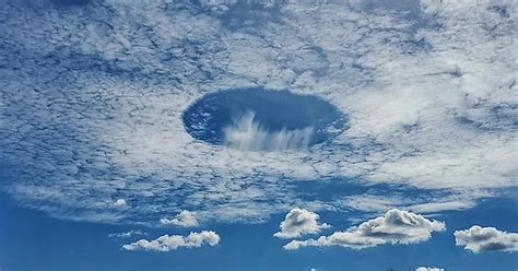 Fallstreak Album On Imgur