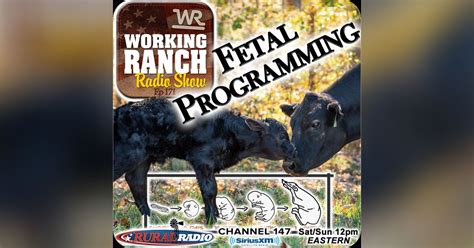 Ep 171 Fetal Programming The Framework Powering Your Genetic Potential Working Ranch Radio Show