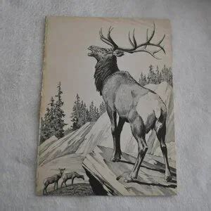 Lee J Ames Art American Elk 95s Wildlife Book Illustration Lee