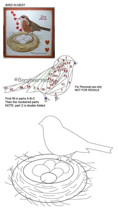 77 Bird Iris Foldings Ideas Iris Folding Iris Iris Folding Pattern