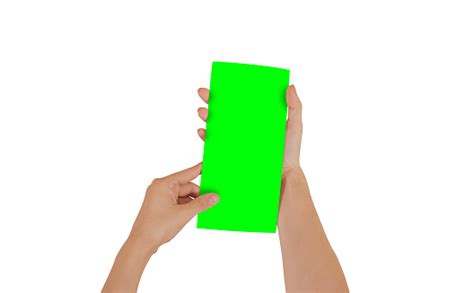 손 빈 그린 브로슈어 책자를 손에 들고 전단지 프리젠테이션입니다 팸플릿 손 남자입니다 종이 오프셋된을 표시 합니다 시트 서식 파일입니다 손에서 책 디자인을 접는 책자 흰색