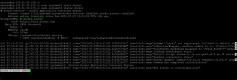 Understanding Package Manager And Systemctl