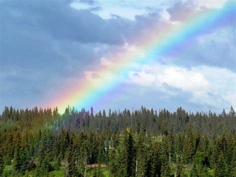 April 3rd National Find A Rainbow Day