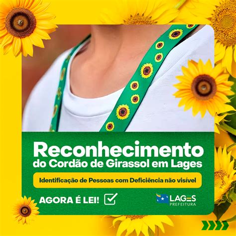 Desenhos Legais De Girassol