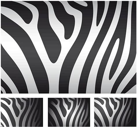 Zebra Hoof Print Background Illustrations Royalty Free Vector Graphics
