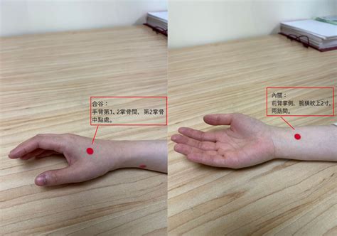 每4人就有1人，胃食道逆流可以看中醫嗎？中醫教4穴道緩解不適 台北市立聯合醫院 健康遠見