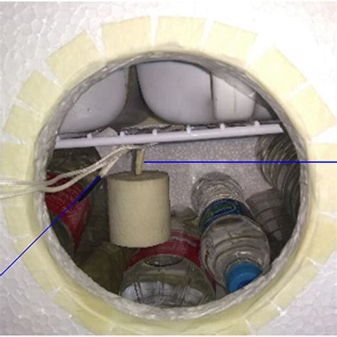 Cassava Piece Cut In Half In The Longitudinal Direction The Cut Made Download Scientific