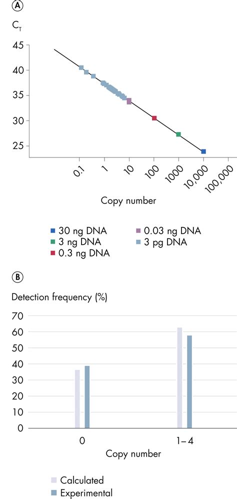 Quantinova Pcr Kits
