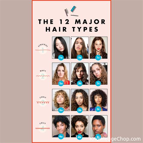 Major Hair Types Knowledge Ninja