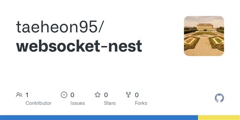 GitHub Taeheon95 Websocket Nest