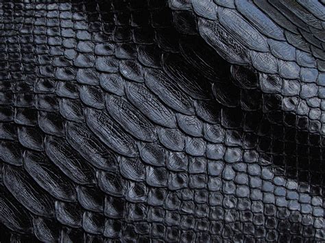 A5 Planner Binder Black Python Leather Etsy