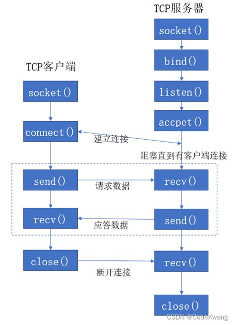 Linux网络编程TCP通信 tcp通信 linux CSDN博客