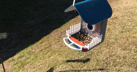 Bird Buddy Picket Fence Por Willis Works Descargar Modelo Stl
