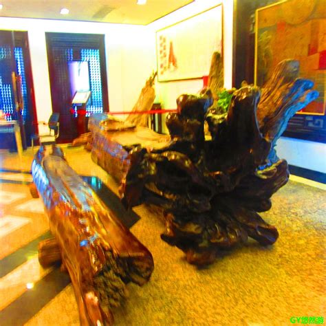 2024霁霖阁金丝楠乌木博物馆游玩攻略 值得参观欣赏形状奇特实属 去哪儿攻略