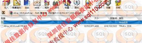 True勒索病毒数据库恢复 Sql数据库中true病毒数据恢复 True 病毒数据库恢复 True勒索病毒数据库恢复 Sql数据库中true病毒数据恢复 True 病毒数据库恢复