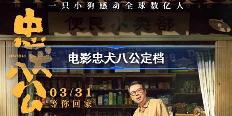 电影忠犬八公定档 电影忠犬八公什么时候上映 友窝下载