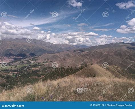Yellow Grass And Distant Mountains Stock Image Image Of Forest