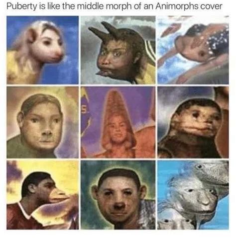 The Lore Of Animorphs An Ode Tania Rascias Personal Website