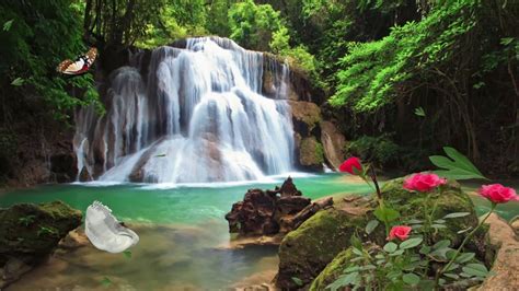 1 Hour Of Relaxing Waterfall Sounds Youtube