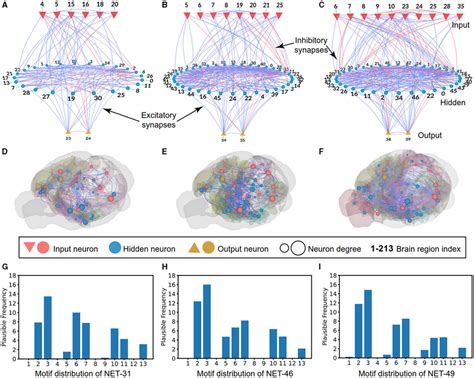 Schematic Diagrams Of Bts With Visualization Ac The 2d
