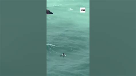 Us Coast Guard Rescues Man Hanging Onto Cooler Off Florida Coast Youtube
