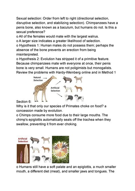 Bio Selection 2 Sexual Selection Order From Left To Right