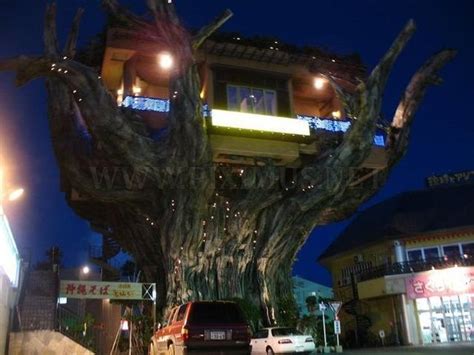 The Most Unusual Restaurants In The World Fun