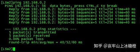 Ospf Stub Hcie