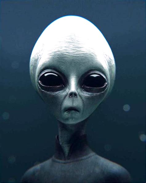 Black Alien Face Alien Face Realistic Alien Head Realistic Alien Trippy