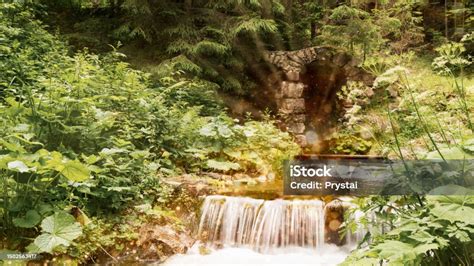 마법에 걸린 동화 같은 꿈꾸는 엘프 여름 숲에서 비밀 폭포와 반짝이는 빛나는 반딧불이 숲에 대한 스톡 사진 및 기타 이미지 숲 0명 가공의 인물 Istock