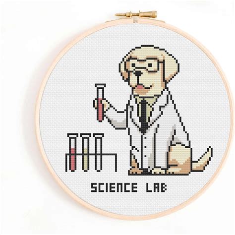 Labrador As Science Etsy Uk