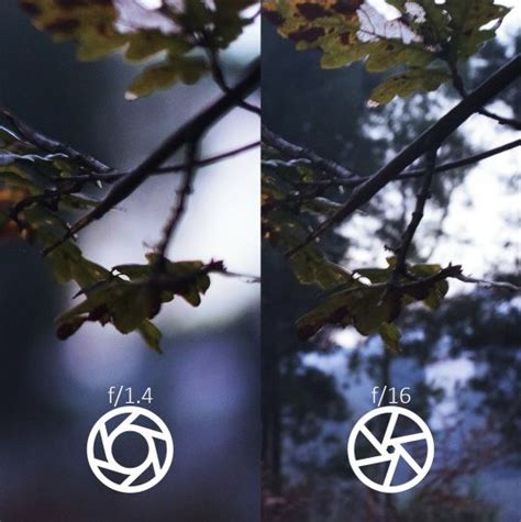 A Taxonomy Of The Simulation Of The Depth Of Field Effect In Videogames