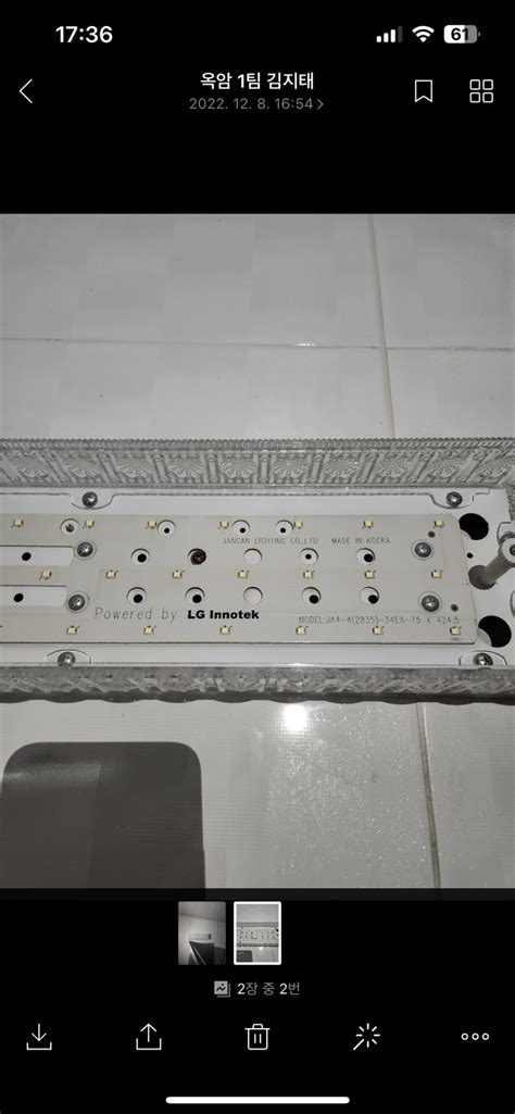 이런 등은 어디서 구매하나요 지식in