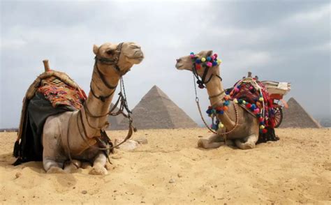 Egypt Classic Tours Classic Egypt Tours Classic Egypt Holidays