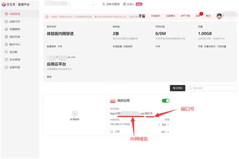 内网穿透：远程访问内网ip中的电脑内网穿透以后 怎么访问该电脑 Csdn博客