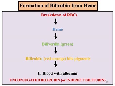 Ppt Liver Function Tests Lfts Powerpoint Presentation Free