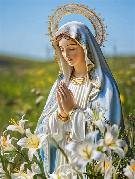 Tutto Può Lamore Buona Serata Amati Dalla Mamma Celeste Camminando