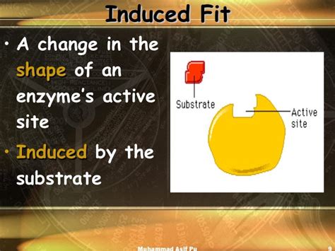 Enzyme Ppt