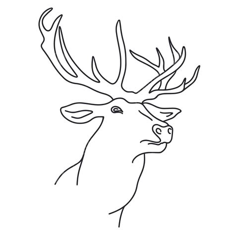 Forest Deer Vector Illustration Black Forest Illustration Vector Black