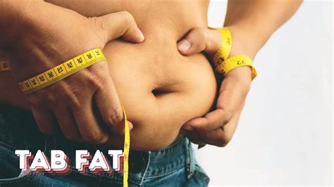 Tab Fat Supplement For Digestive Health Nutritional Needs