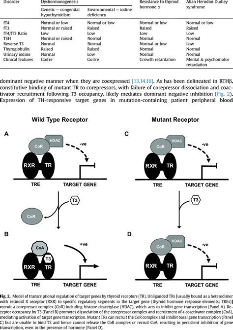 Differential Diagnosis Of Disorders With A High T Low T Normal TSH Download Table