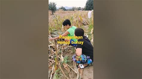 Tyaga Lang Guys Habang Walang Trabaho Extra Muna Tayo 👍👍 Youtube