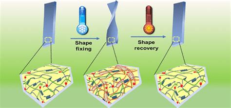 Thermoresponsive Shape Memory Behavior Of An Acylated Nanofibrillar