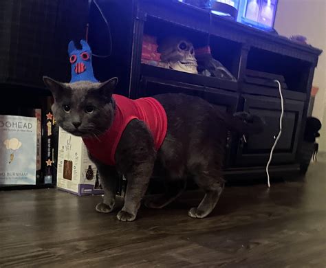 Theres Evil Afoot R Spongebob