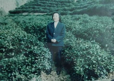 从“茶姑娘”变成“茶奶奶” “三秦楷模”张淑珍用一生诠释信念、革新、奉献 大美陕西网